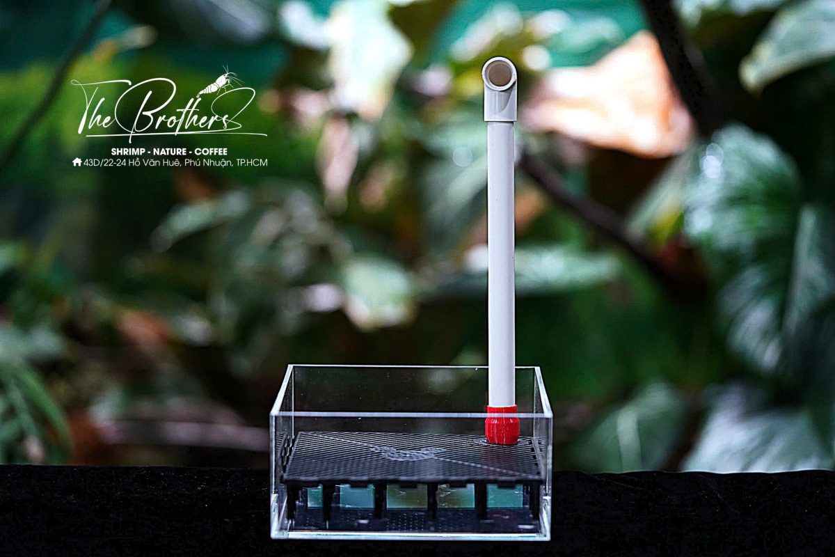 Box Lọc Đáy Phiên Bản In 3D của The Brothers Nature - The Brothers Nature